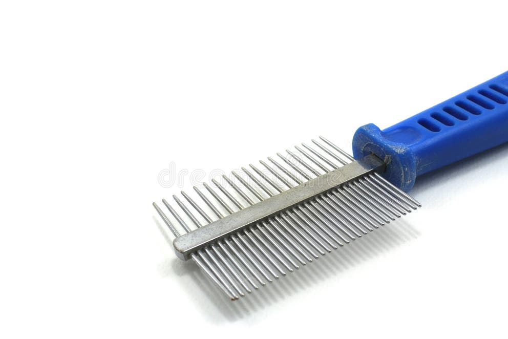 Blue comb stock photo. Image of groom, brush, domestic - 32981406
