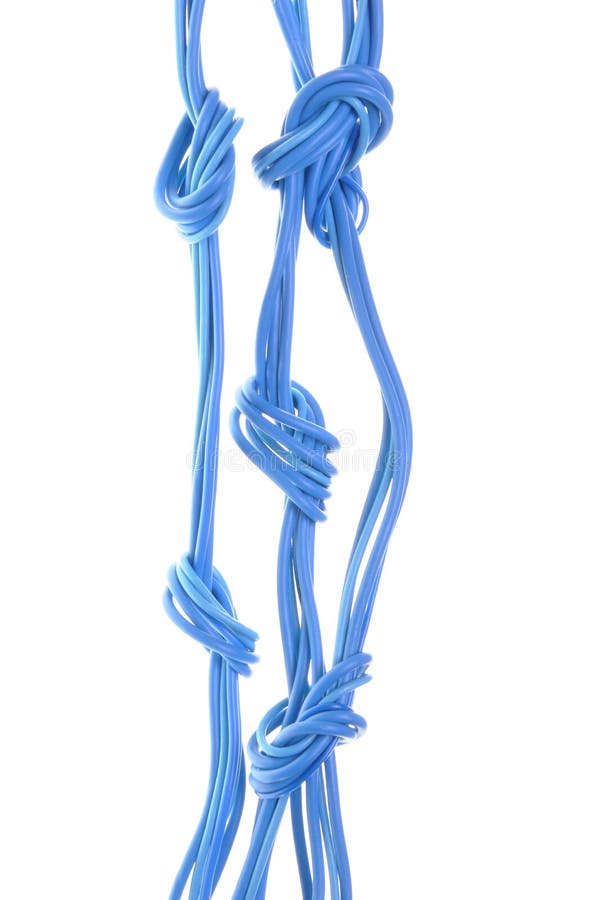 Network cables (blue tone) stock photo. Image of cable - 3971522
