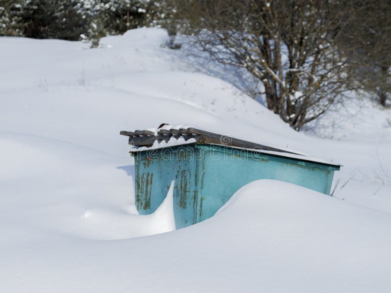 Blue Container Under Garbage with Wooden Lid is Covered with Snow Stock ...