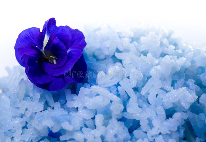 Blue Cooked Rice by Color of Butterfly Pea Flower Stock Photo - Image ...