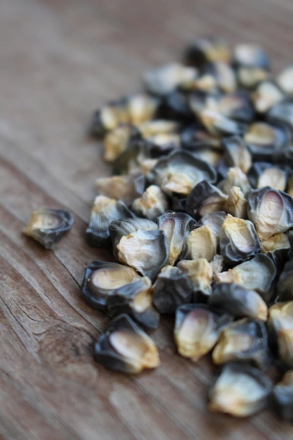 Dried Organic Blue Corn Seeds Stock Photos - Free & Royalty-Free Stock ...
