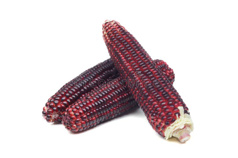Blue corns stock image. Image of food, white, blue, healthy - 99401813