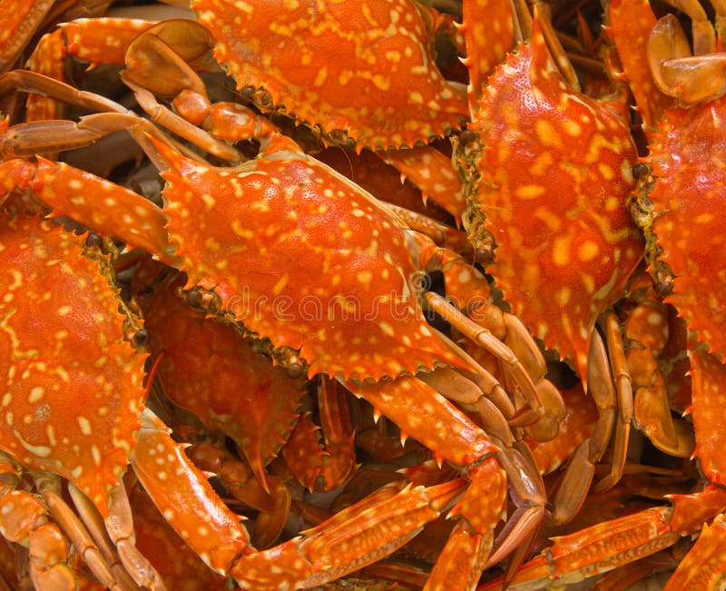 2,406 Boiled Blue Crab Stock Photos - Free & Royalty-Free Stock Photos ...