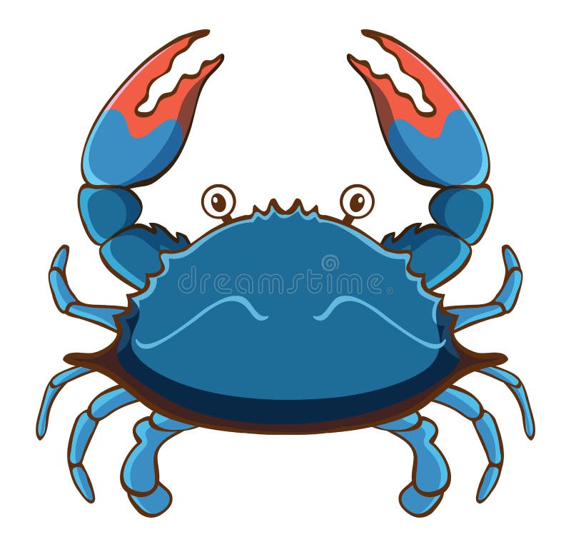 Blue Crab Vector Illustration Stock Illustrations – 6,113 Blue Crab ...