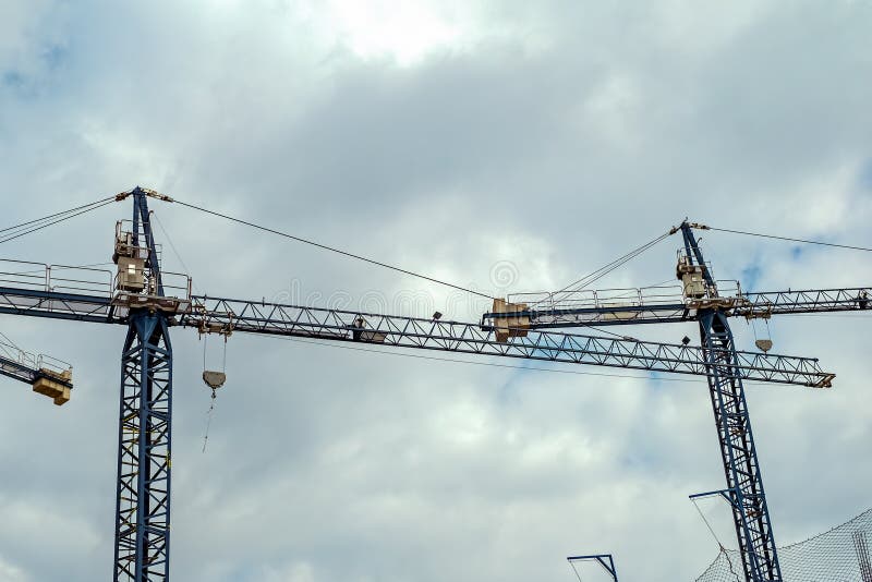 Blue Cranes stock image. Image of proud, cape, habitat - 4515065