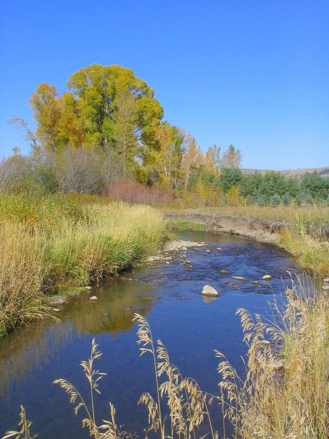 Blue Creek stock photo. Image of montana, creek, water - 200088