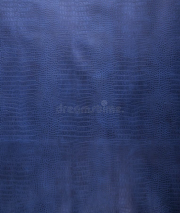 728 Blue Crocodile Skin Leather Texture Background Stock Photos - Free ...