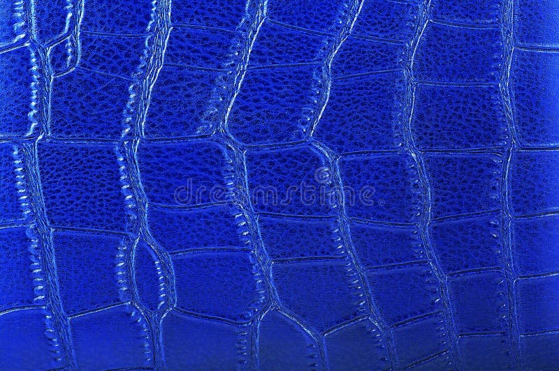 791 Blue Crocodile Skin Texture Stock Photos - Free & Royalty-Free ...