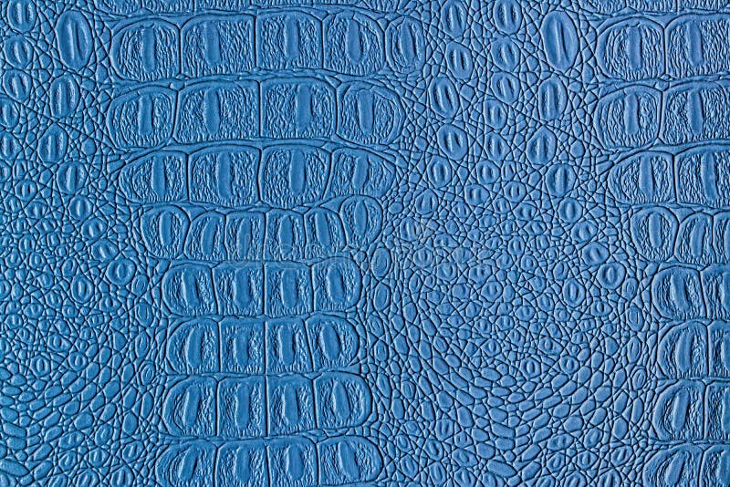Blue Crocodile Leather Texture. Abstract Backdrop for Design Stock ...
