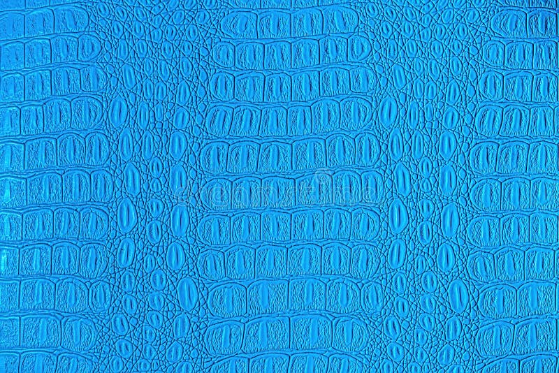 Blue Crocodile Leather Texture. Abstract Backdrop for Design Stock ...