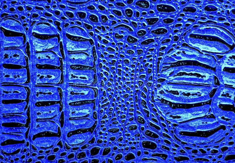 Blue Texture of Alligator Skin Stock Photo - Image of fashion ...