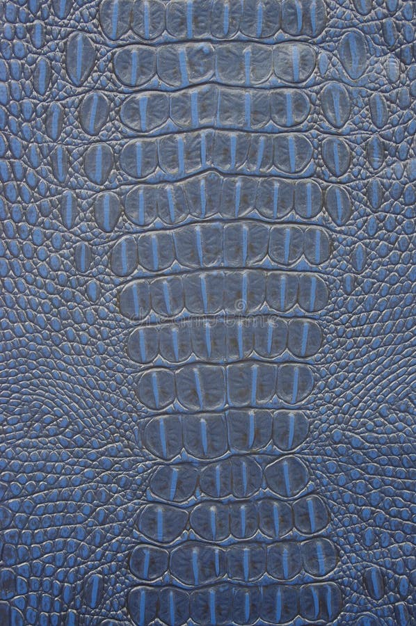 Blue Crocodile leather stock image. Image of abstract - 45596229