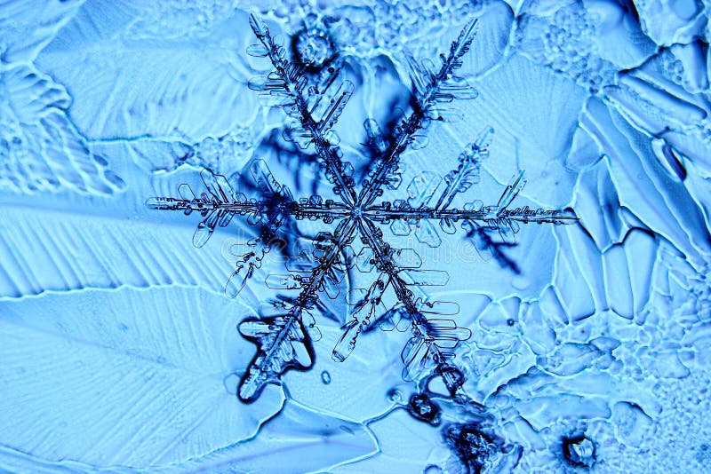 Ice Crystal Crystal Snowflake Stock Photos - Download 28,258 Royalty ...