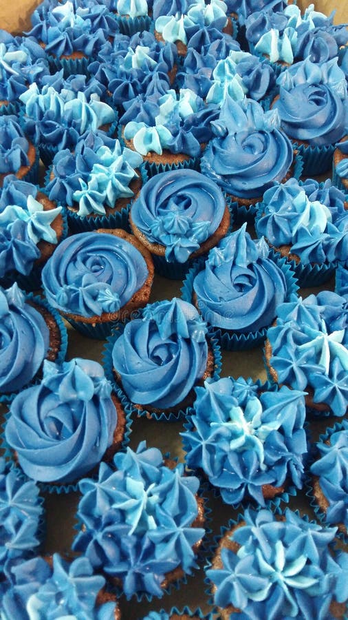 Blue cupcakes frosting stock photo. Image of torte, pink - 201496850