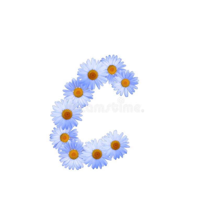 Daisy Letter E stock illustration. Illustration of flora - 85439996