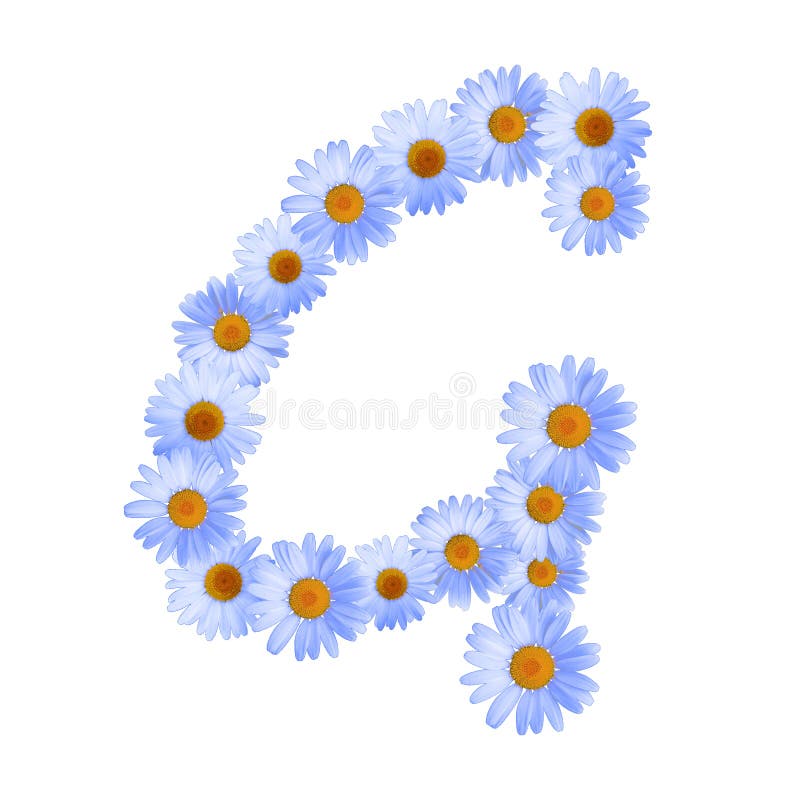 Daisy Letter a stock illustration. Illustration of multi - 85439980