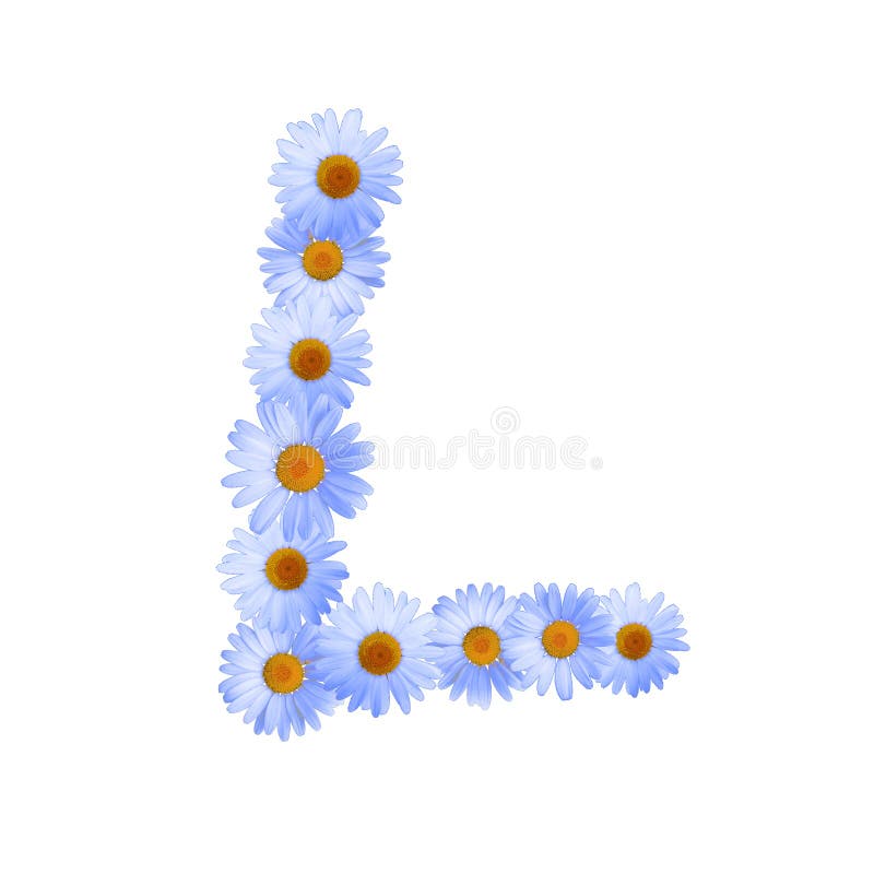 Daisy Letter E stock illustration. Illustration of flora - 85439996