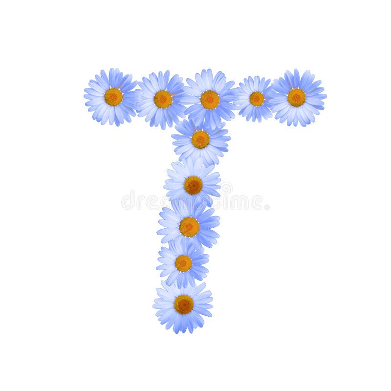 Blue Daisy Letter N stock illustration. Illustration of custom - 85439704