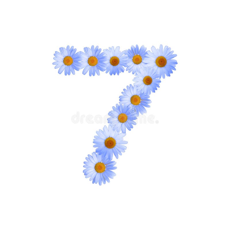 Blue Daisy Number Seven stock illustration. Illustration of colorful ...
