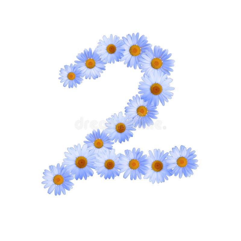 Daisy Number Five stock illustration. Illustration of daisy - 85440025
