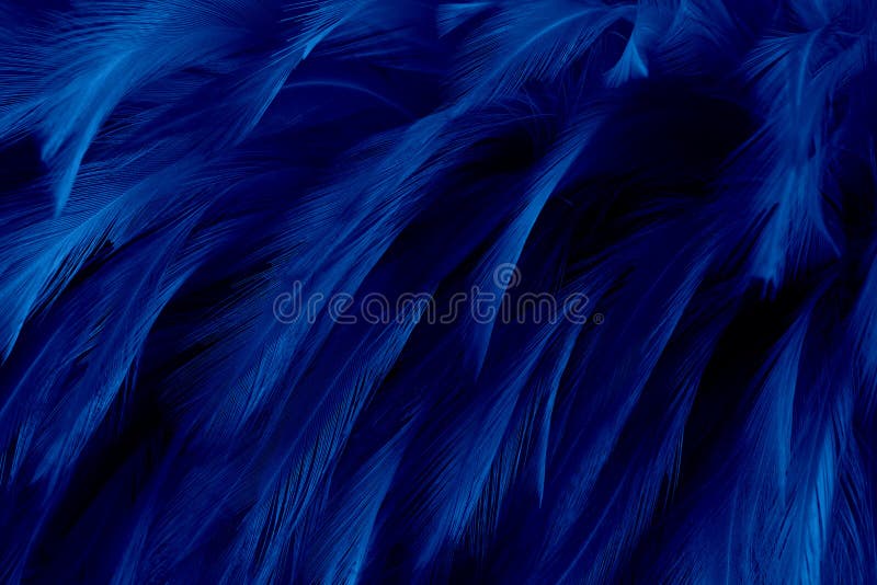 Blue Dark Feathers Texture Line Background Stock Image - Image of ...