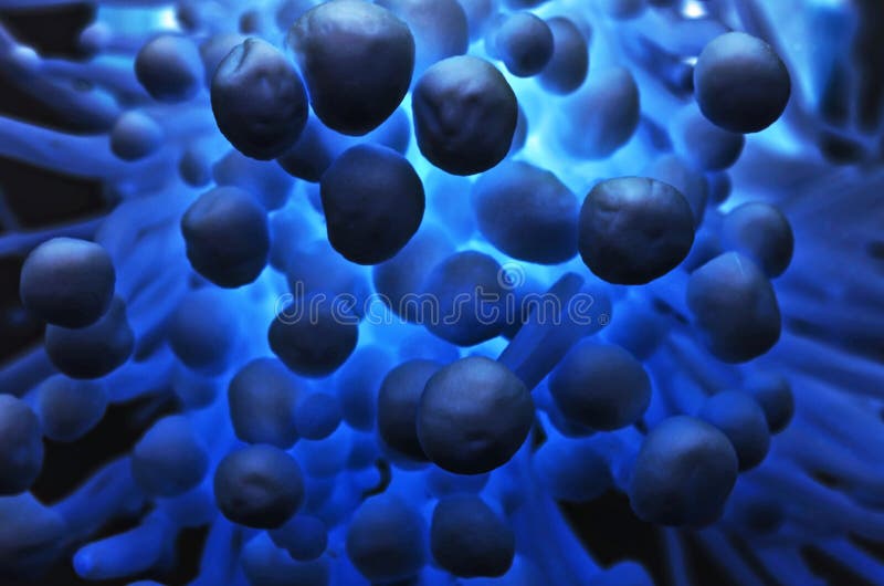Blue and Dark Science Abstract Stock Image - Image of bladder, cell ...