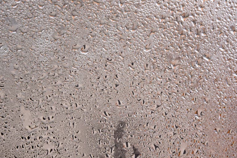 Zoom Background Plain Color Stock Photos - Free & Royalty-Free Stock ...