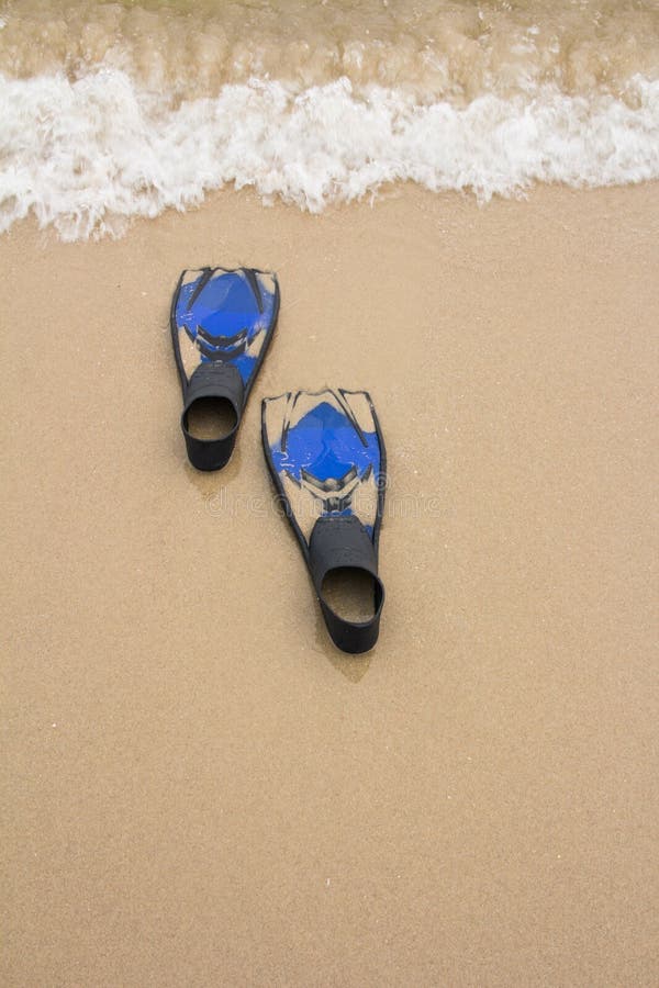 Blue diving fins stock photo. Image of beach, scuba, plain - 60620760