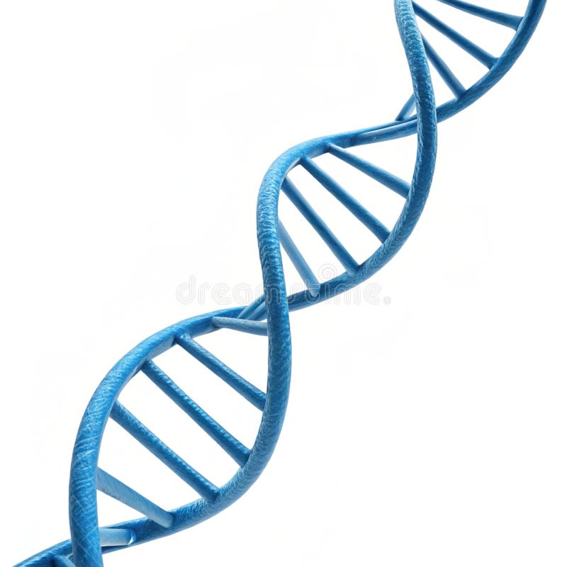Blue DNA Double Helix Isolated on Transparent Background Stock ...