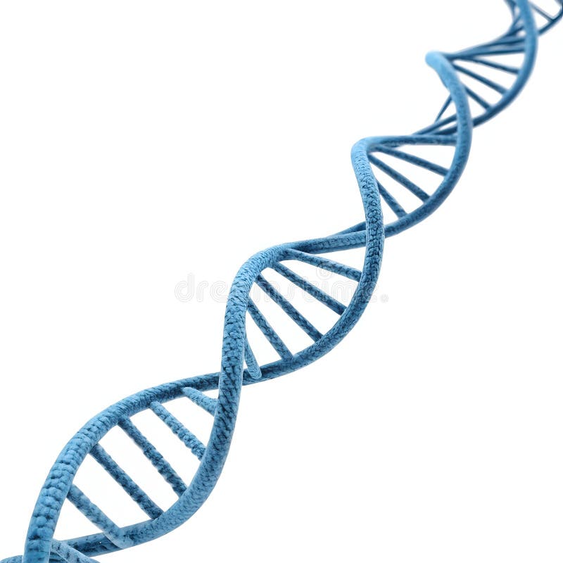 Blue DNA Helix Sequence Isolated on White Background Stock Illustration ...