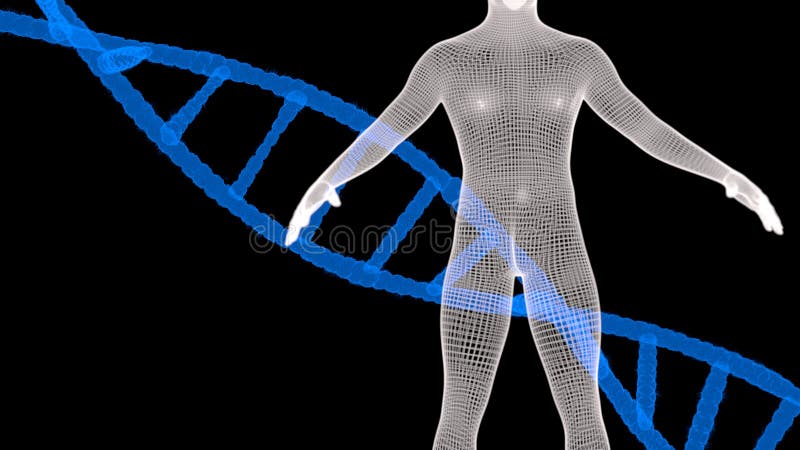 Blue Dna and Human Wireframe Hologram Stock Illustration - Illustration ...