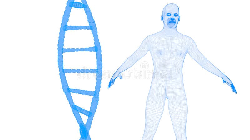 Blue Dna and Human Wireframe Hologram Stock Illustration - Illustration ...