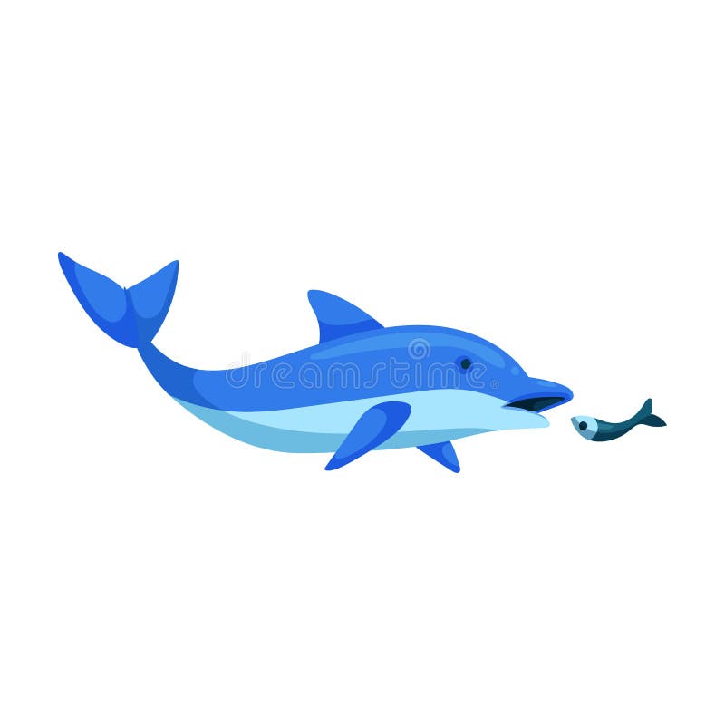 Blue Dolphin Vector Icon.Cartoon Vector Icon Isolated on White ...