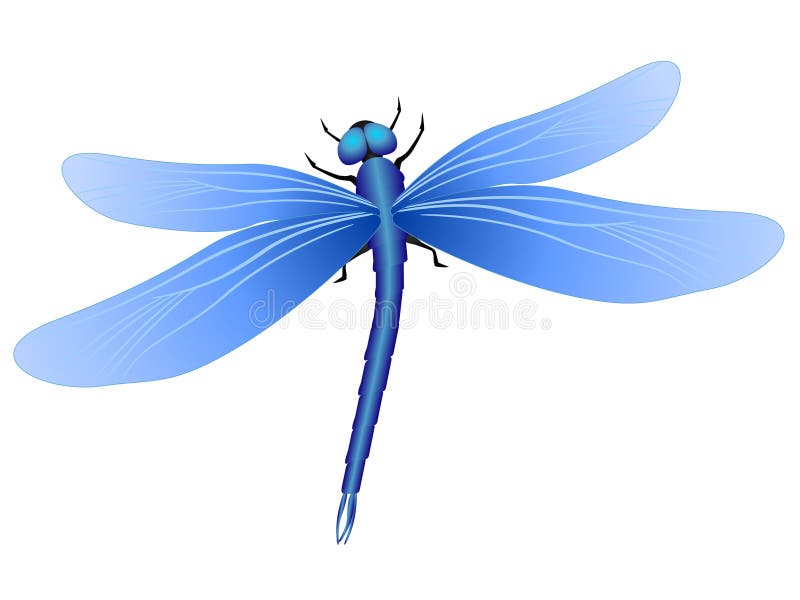 Blue Dragonfly Stock Illustrations – 6,160 Blue Dragonfly Stock ...