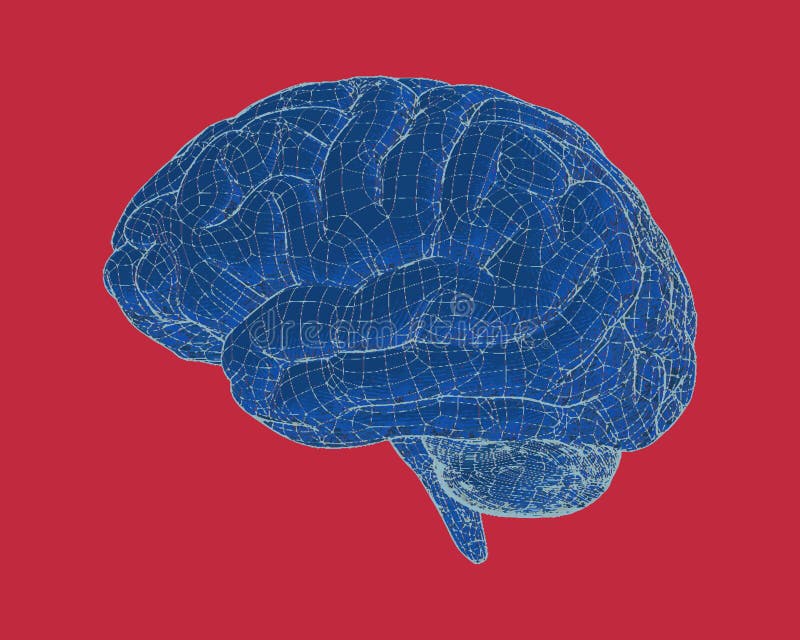 Blue Drawing Brain with Wireframe Illustration Stock Vector ...
