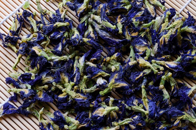 Blue Dried Flowers of Herbal Tea Stock Image - Image of cutout ...