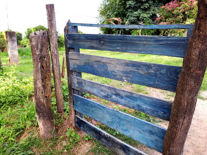 Blue Driveway, a Blue Painted Country Gate, Country Landscape Stock ...
