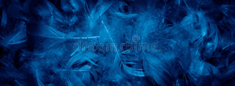 Blue Duck Feathers with Visible Texture. Background Stock Photo - Image ...