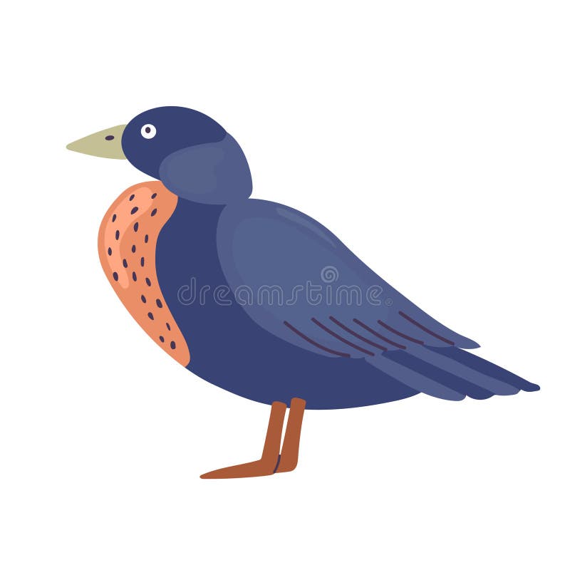 Blue Duck Icon Clipart Logotype Isolated Vector Illustration Stock ...