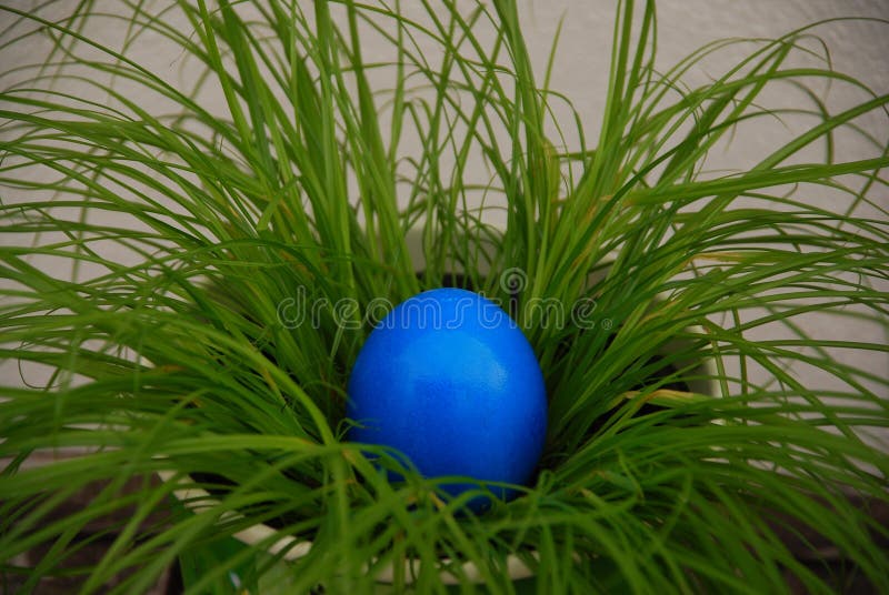 Blue Easter Egg Lying in a Flowerpot of Grass Stock Photo - Image of ...