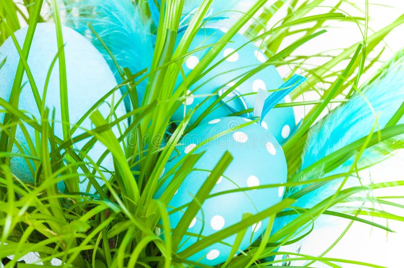 Blue easter eggs in grass stock photo. Image of greetings - 51846704