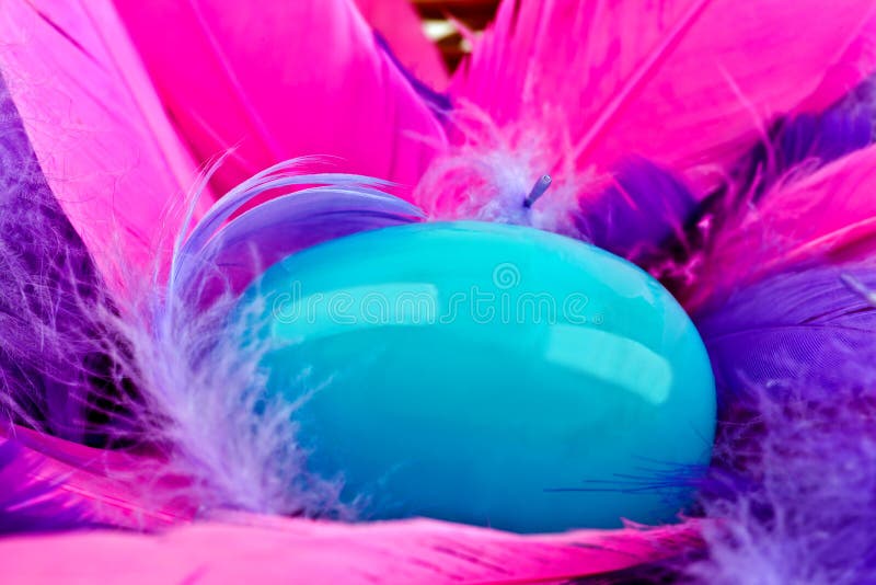 Blue Egg and Pink Feathers stock image. Image of bright - 31508687
