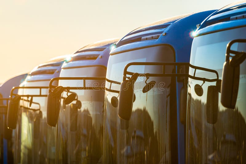 Blue Electric Buses Parked Side by Side in Low Evening Sun.. Stock ...