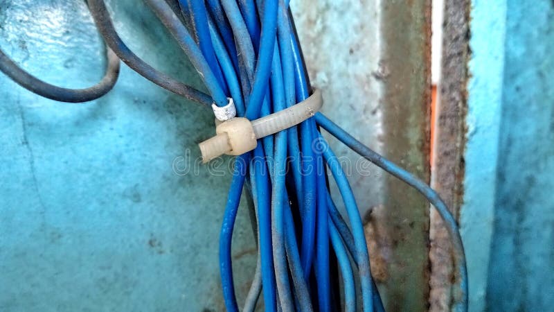 Blue Electrical Cables Tied Using Cable Ties. Electrical Cables Neatly ...