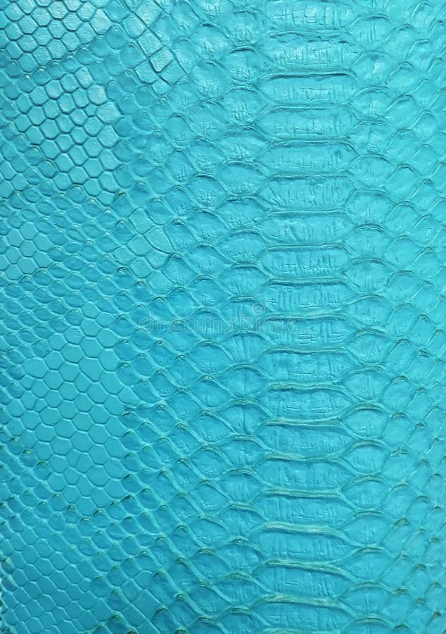 Blue Embossed Leather, Leather Background, Top View Stock Image - Image ...