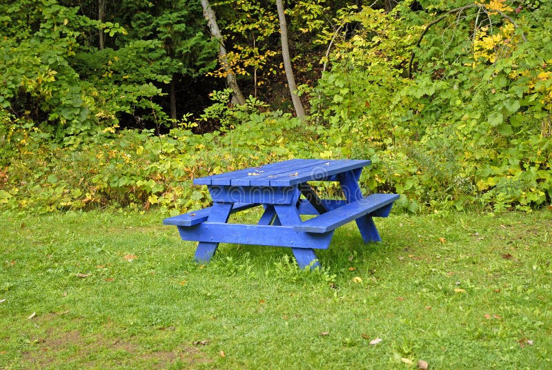 Blue empty Picinic Table stock photo. Image of table - 78622556