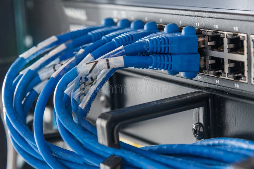 Blue Ethernet Cables Connected To Switch Stock Photo - Image of router ...