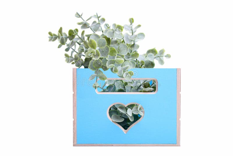 Blue Eucalyptus Branch in a Blue Wooden Box Stock Image - Image of ...