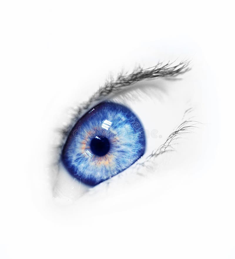 Blue eye stock image. Image of blue, eyebrow, level, eyelid - 1353695