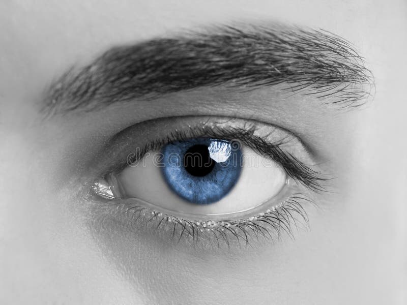 Blue Human Eye Isolated Photo Stock Photo - Image of lash, muscle: 20018
